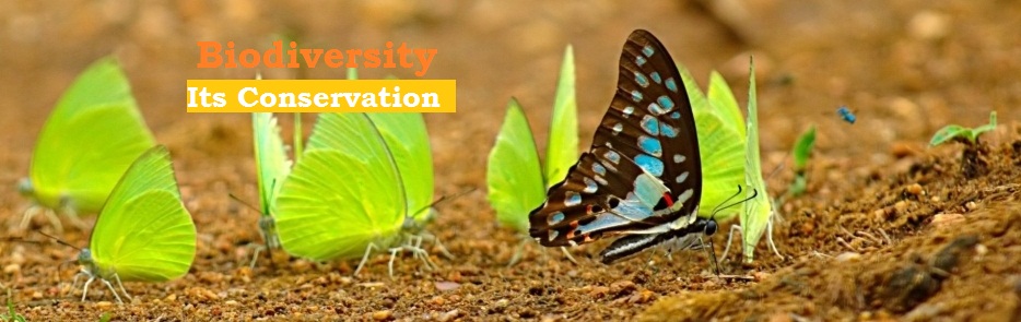 Biodiversity and its Conservation - CG Competition Point